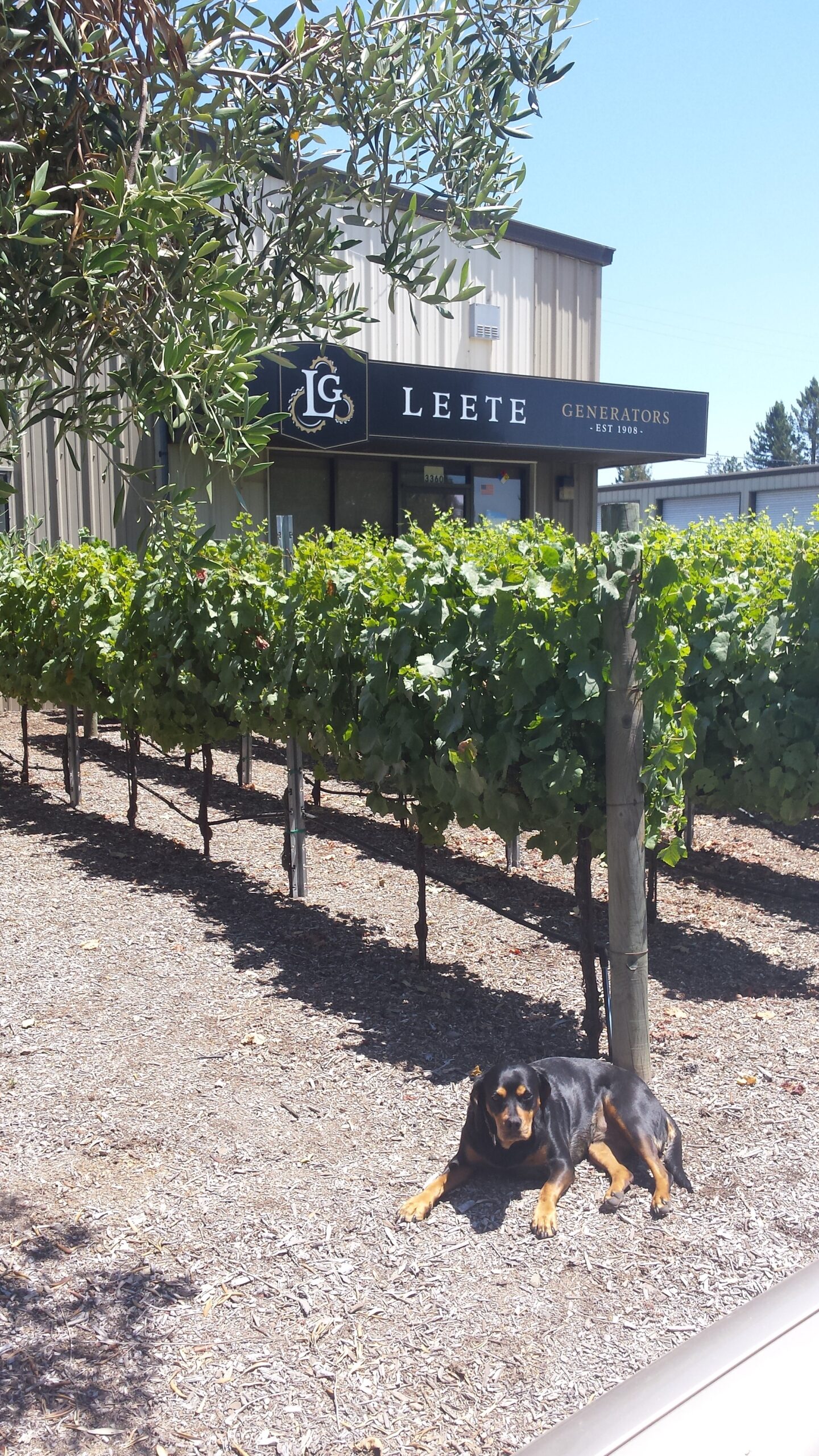 About - Leete Generators